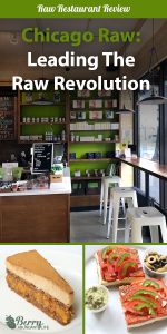 Chicago Raw - Review - Berry Abundant Life